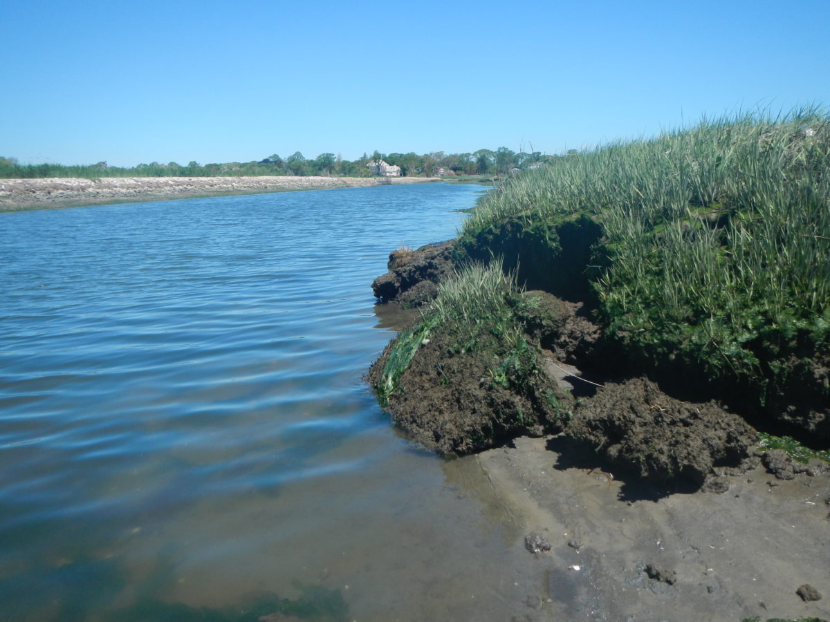 Impacts – LIS Water Quality